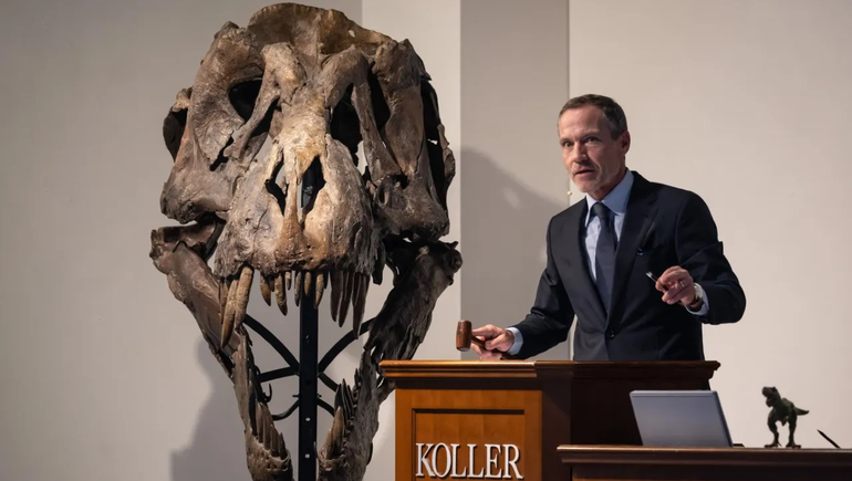 Vendieron un esqueleto gigante de un tiranosaurio rex en Suiza
