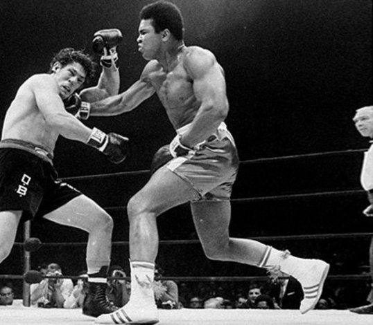 Bonavena-Alí: la noche en que Ringo se le plantó al más grande afuera y ...