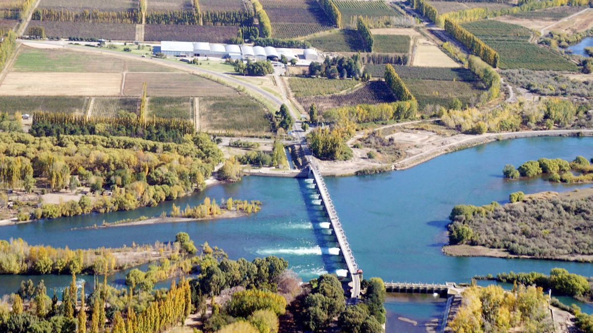Un bosque está en venta a orillas del dique Ballester
