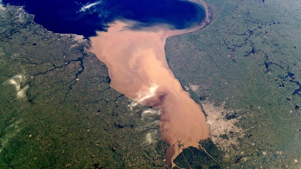 El Río de la Plata se convierte en música: descubre la innovadora ...