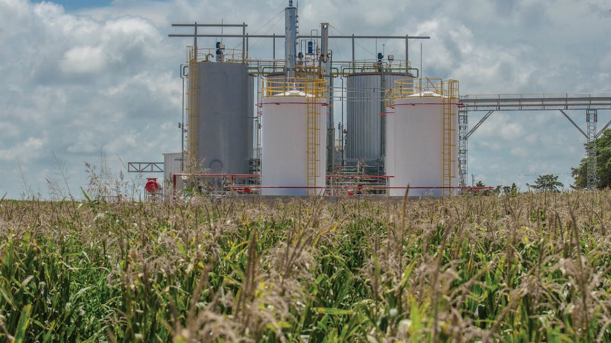 Aumentó el precio del bioetanol que se mezcla con las naftas