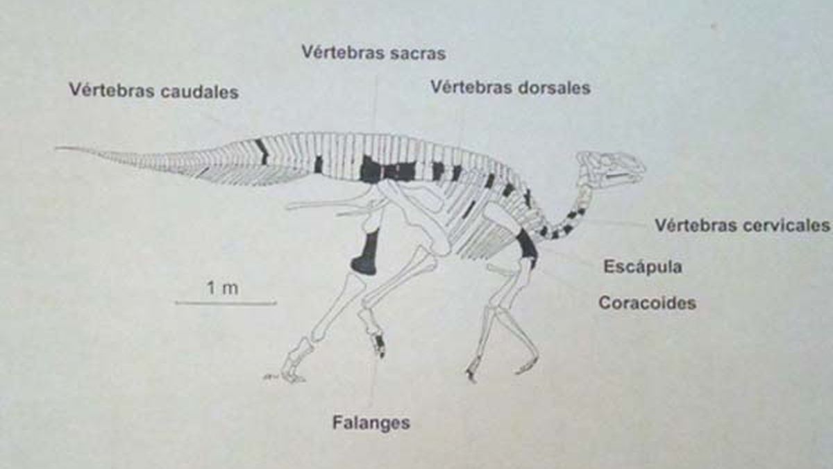Coria presentó en sociedad al primer dinosaurio pampeano
