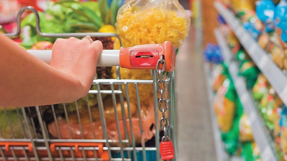 Canasta básica de alimentos: cuánto cuesta, cómo se compone y qué aporta