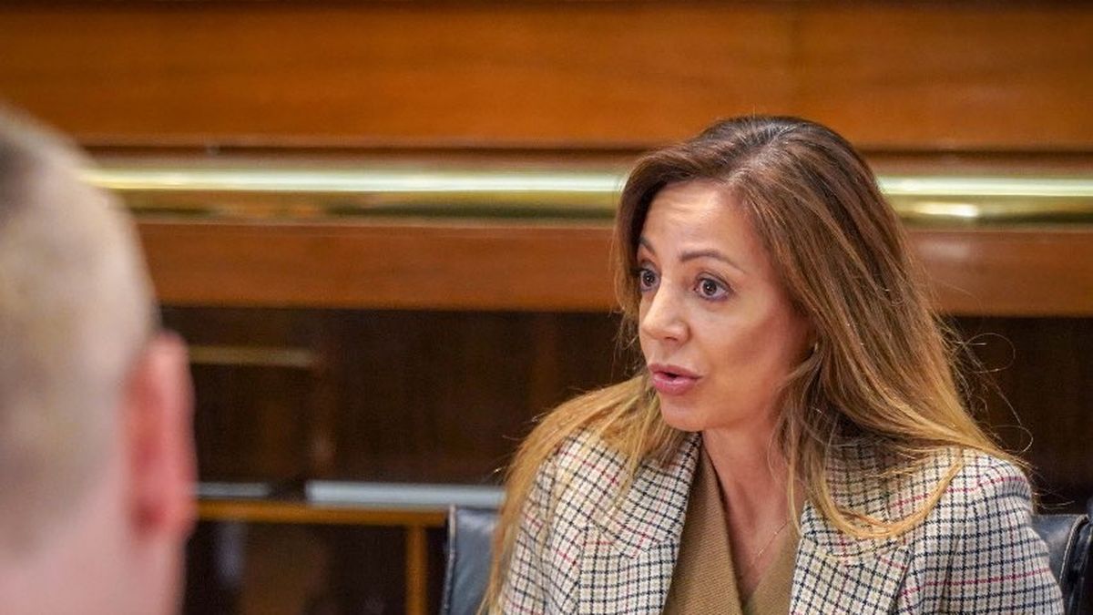 Royon expondrá en Diputados por la ley de GNL