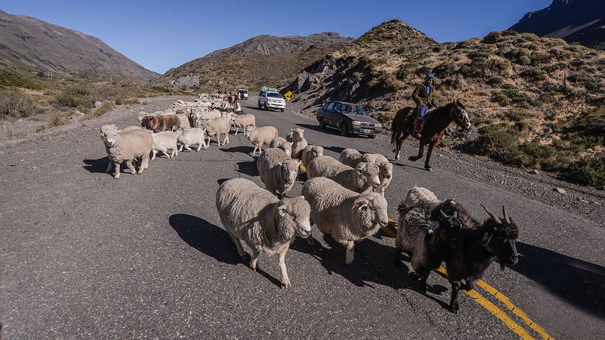 El norte neuquino y todo el color del fin de la veranada