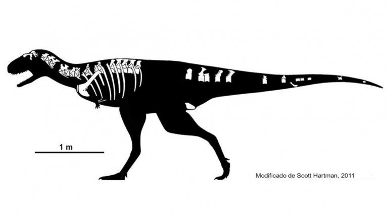 Presentarán un nuevo dinosaurio que llevará el nombre de una petrolera