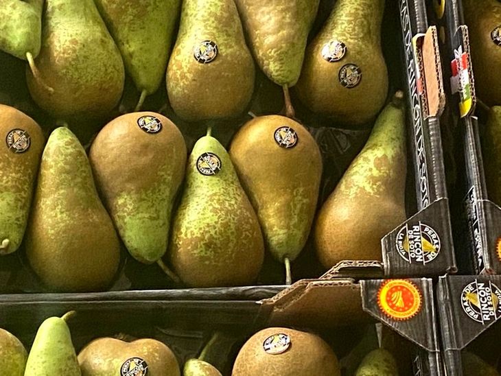 Bélgica: La cosecha de peras se reducirá a la mitad