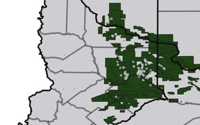 La explicación sobre la inusual suba de alertas de incendios en Vaca Muerta