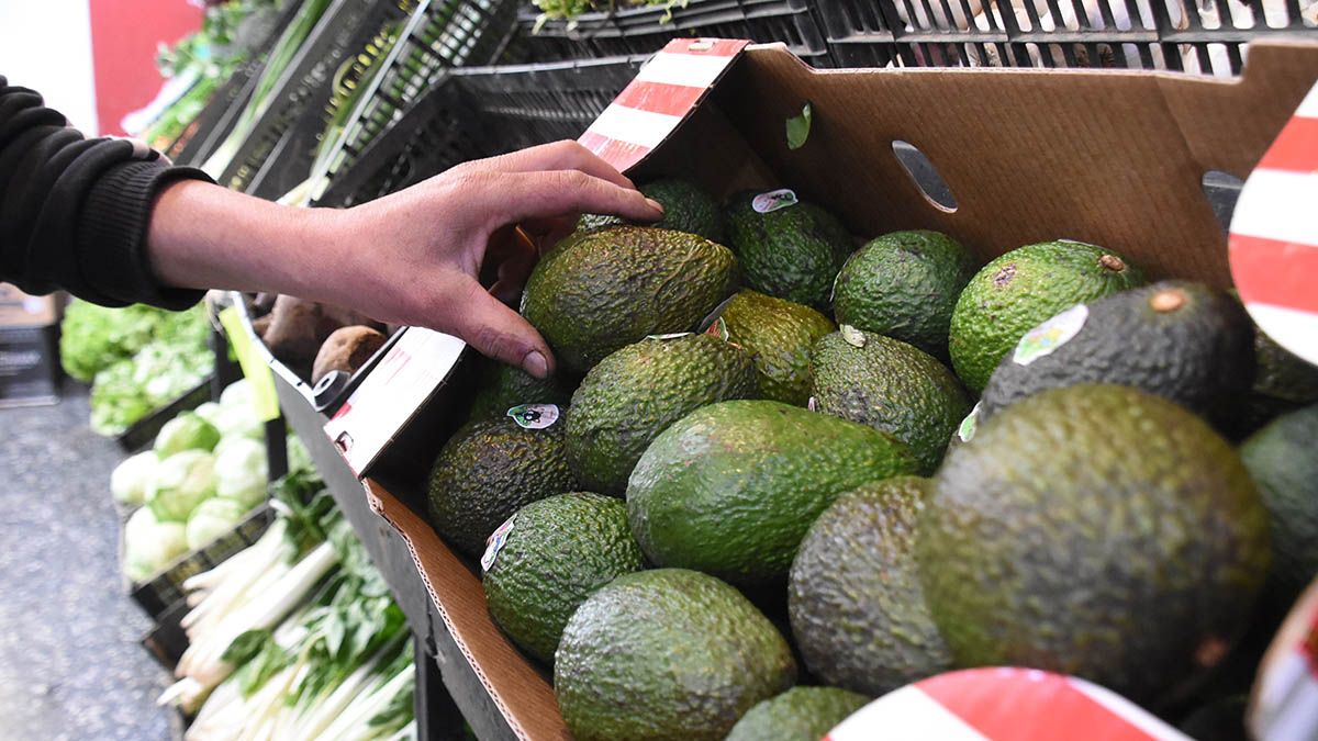 Los increíbles precios a los que se vende la palta en Neuquén