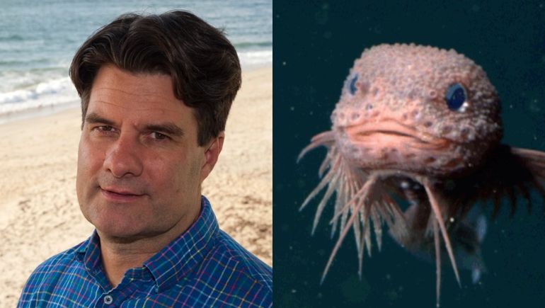 Investigadores encuentran una especie de pez caracol única con ojos ...