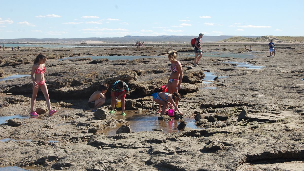 La restinga, un espectáculo en la playa de Las Grutas