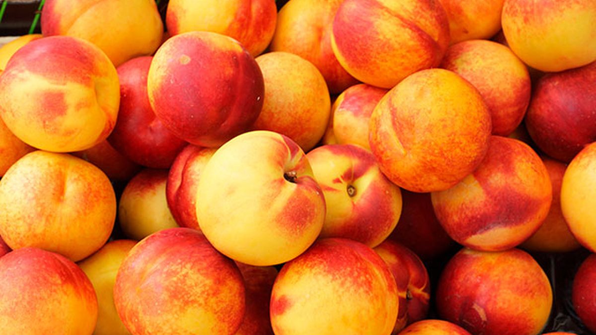 España: cosecha de fruta de carozo con 1% más de producción