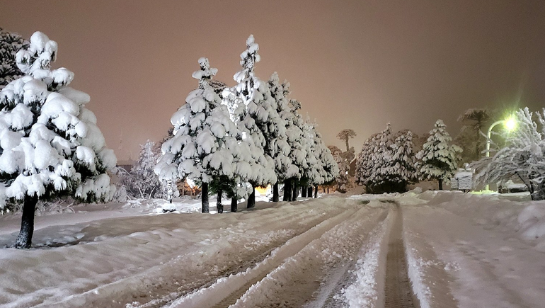 En fotos, localidades cordilleranas amanecieron cubiertas de nieve