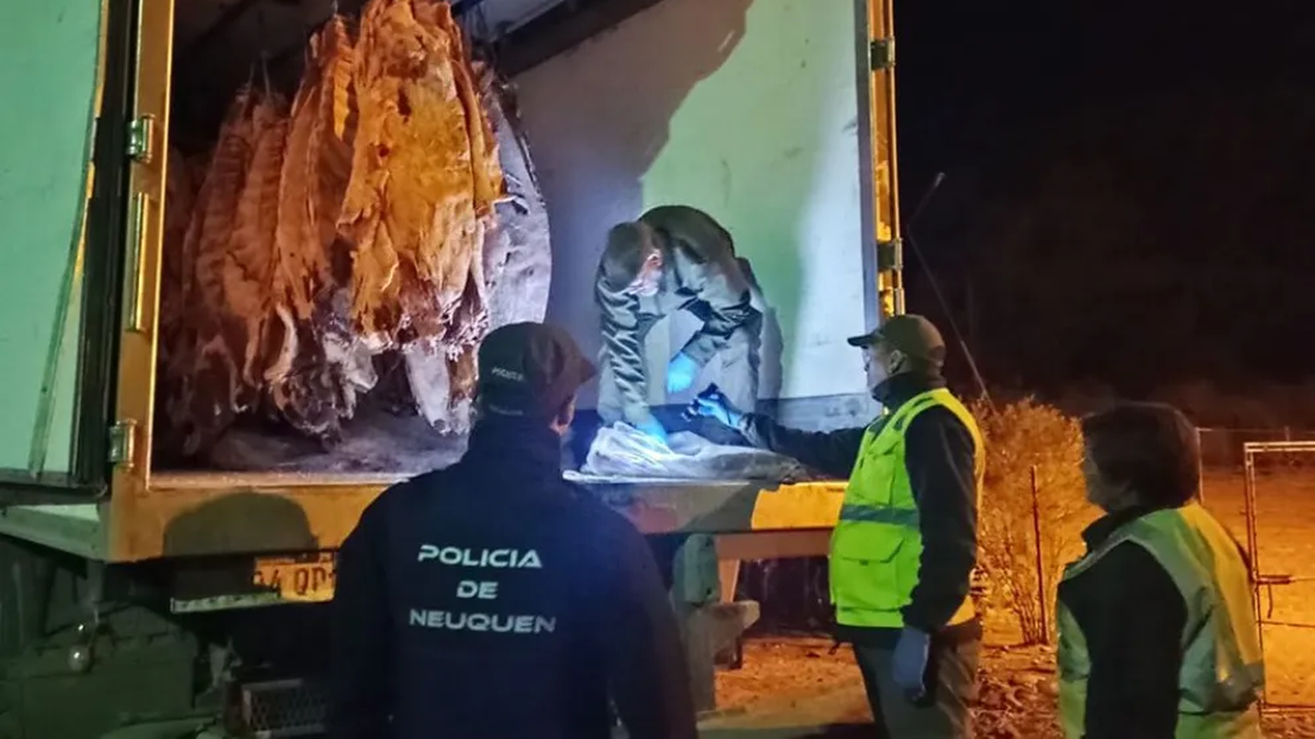 Decomisaron 4000 kilos de carne vencida: Un atentado a la salud pública