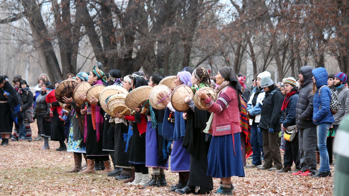 Son 55 las comunidades mapuches reconocidas