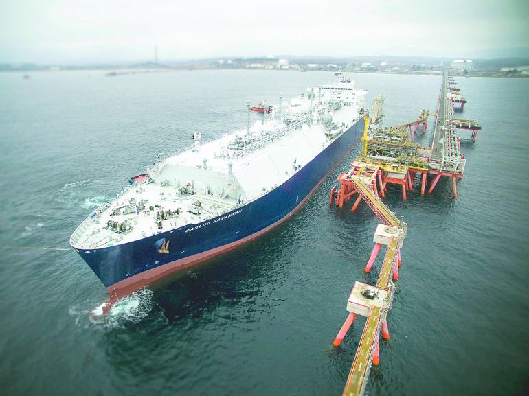 La celebración de Osvaldo Llancafilo y Pablo Cervi sobre la planta de ...