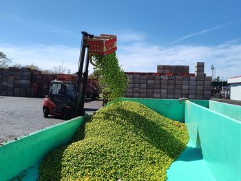 Más Producción - lmneuquen.com