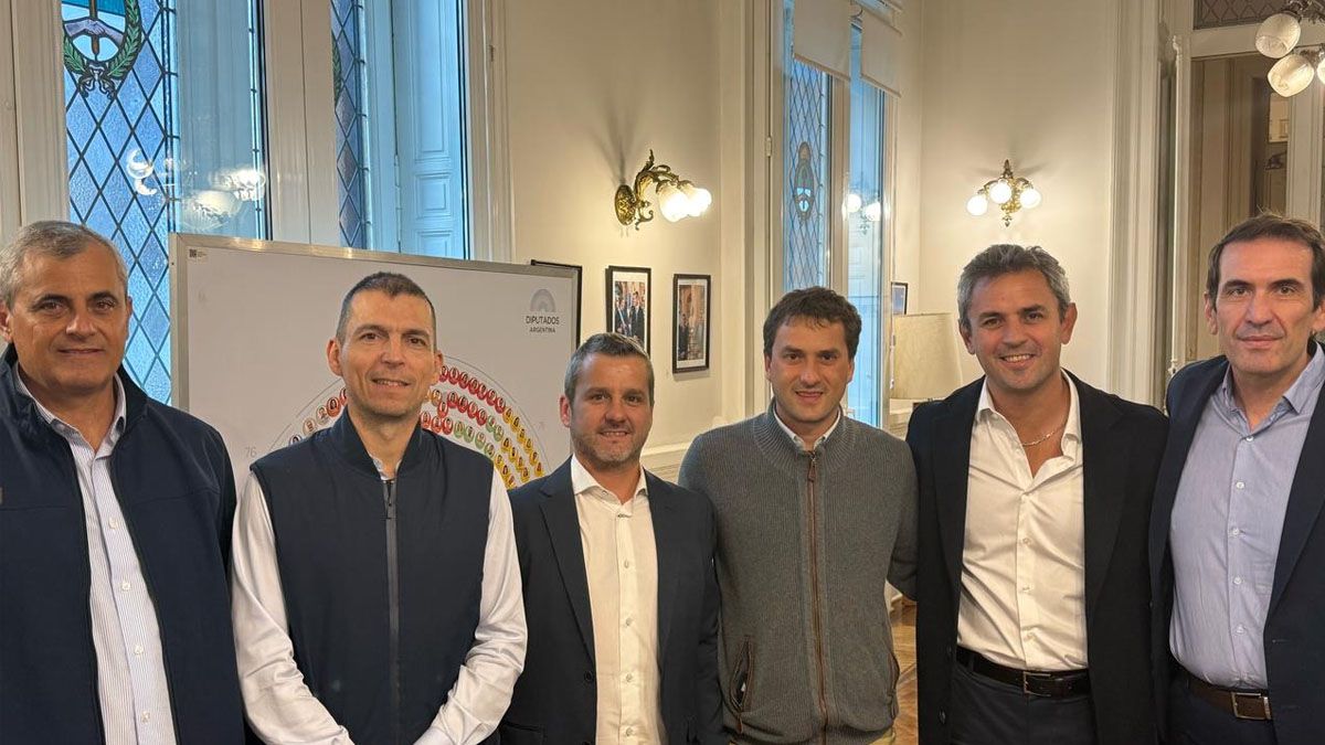 LLA suma 6 porotos en la Cámara de Diputados antes de los cierres ...