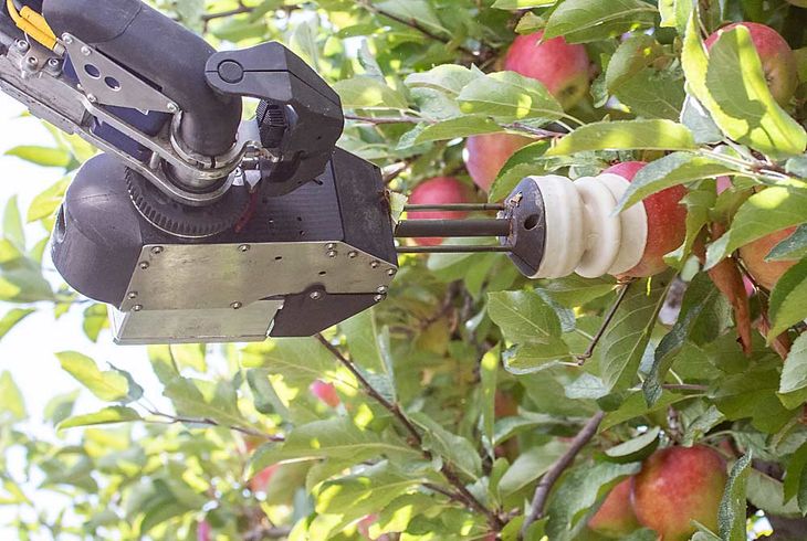 Grandes avances en la automatización en la cosecha de manzanas