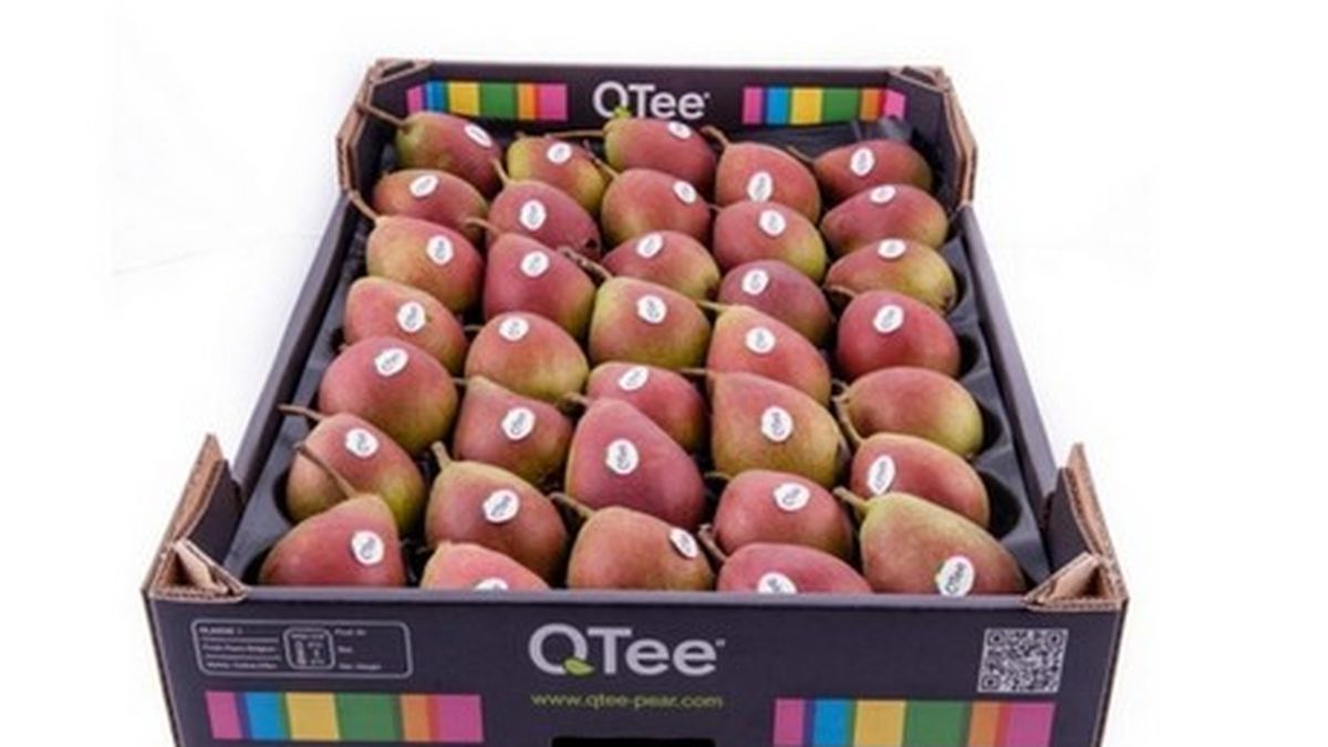 Situación de las variedades de peras en el Hemisferio Sur