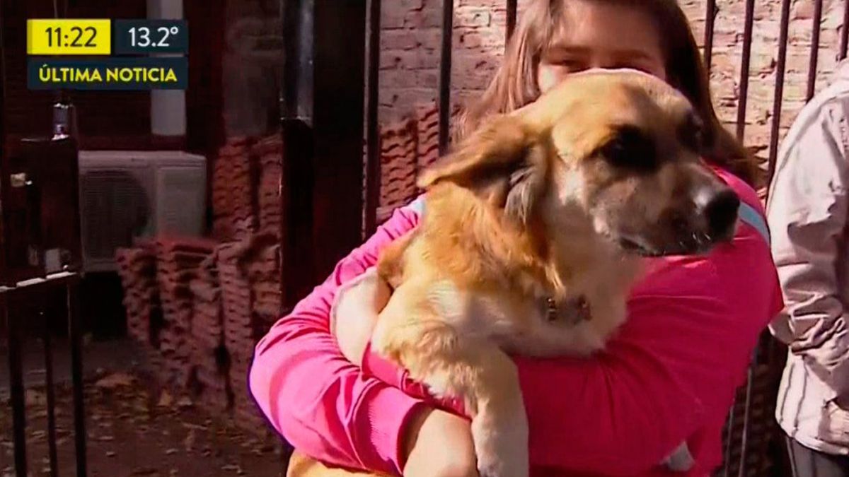 Un perrito le salvó la vida a un bebé tirado en una bolsa