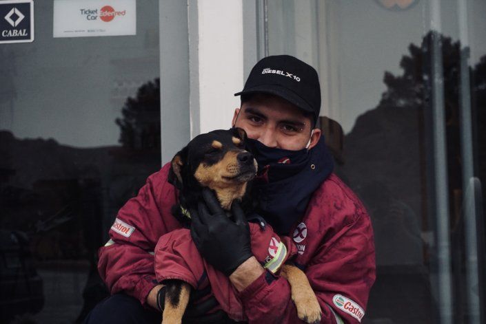 La historia del perro playero que conquista a los turistas - Sabelo