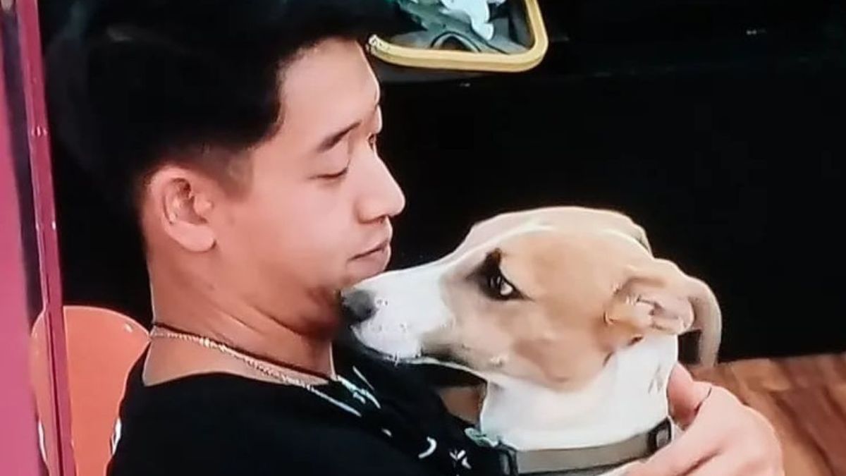 Un amor: Así fue el encuentro de Martín Ku con Arturo, el perro de la ...