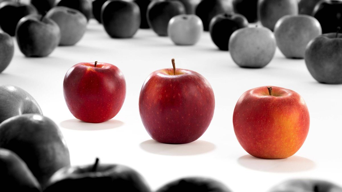 Alta demanda sobre las nuevas variedades de manzanas