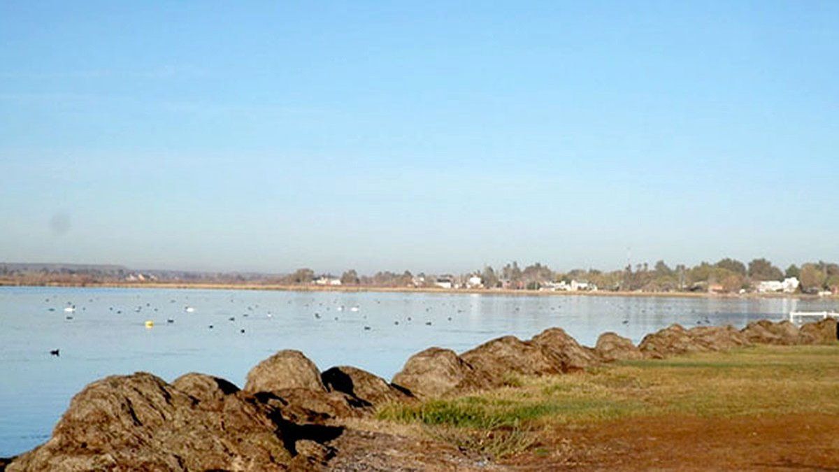 El sorprendente poder de las plantas acuáticas del lago Pellegrini