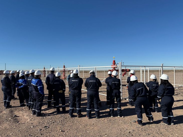 Phoenix mantiene su plan de expansión en Vaca Muerta: las claves de ...