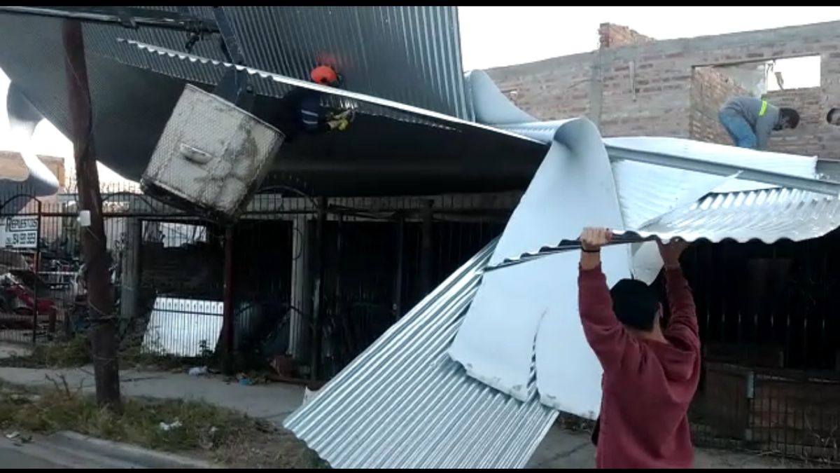El viento voló techos de chapa y tumbó árboles y postes