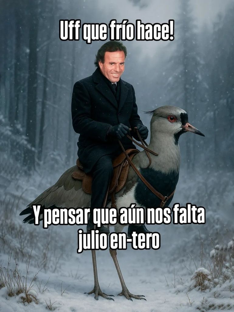 Llegó julio y los clásicos memes con Julio Iglesias como protagonista ...