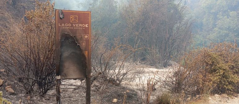 Incendio en Chubut: las llamas amenazan a El Abuelo, el segundo alerce ...