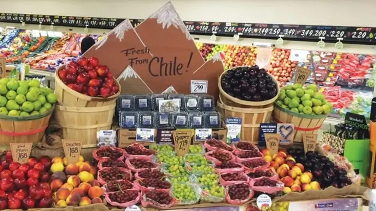 Chile: Latinoamérica, crece como destino de su oferta exportable
