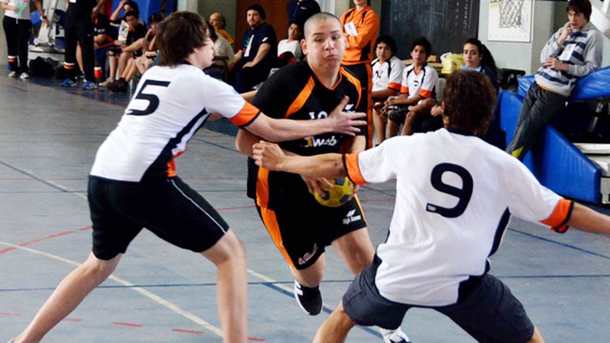 Provincial de handball