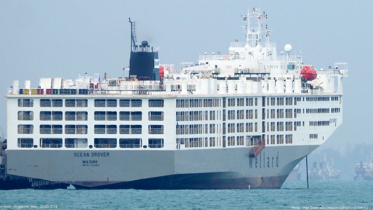 MV Ocean Drover: el coloso del mar que transporta millones de animales ...