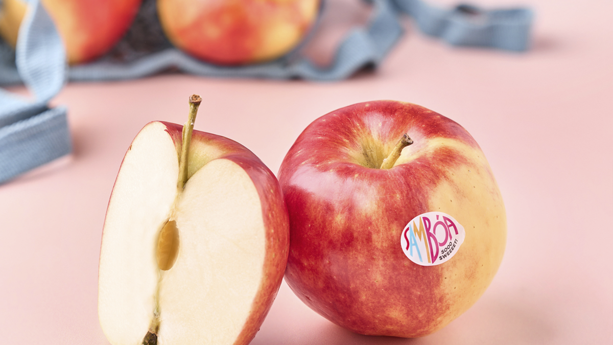 Auge de la manzana Sambóa: 7.000 toneladas en su segunda campaña comercial
