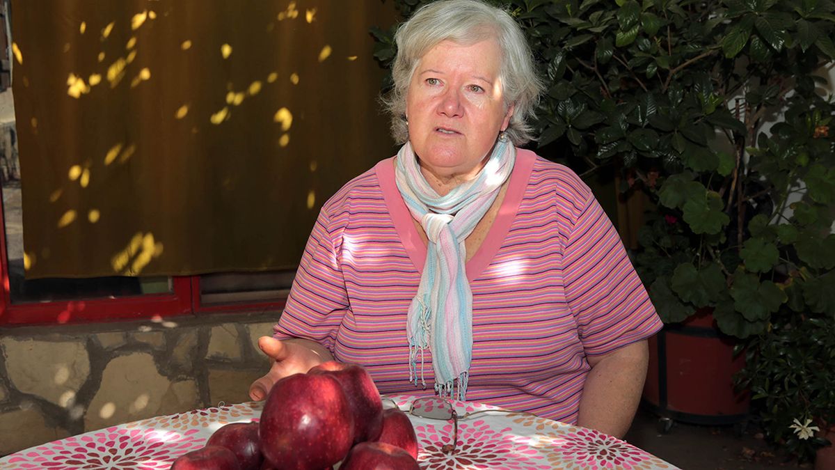 No va más: otra chacra ya no produce más manzanas