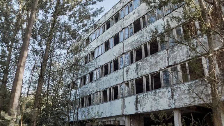 La ciencia revela cómo sería un mundo sin humanos