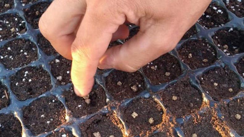 Agricultura | Mas Produccion - lmneuquen.com