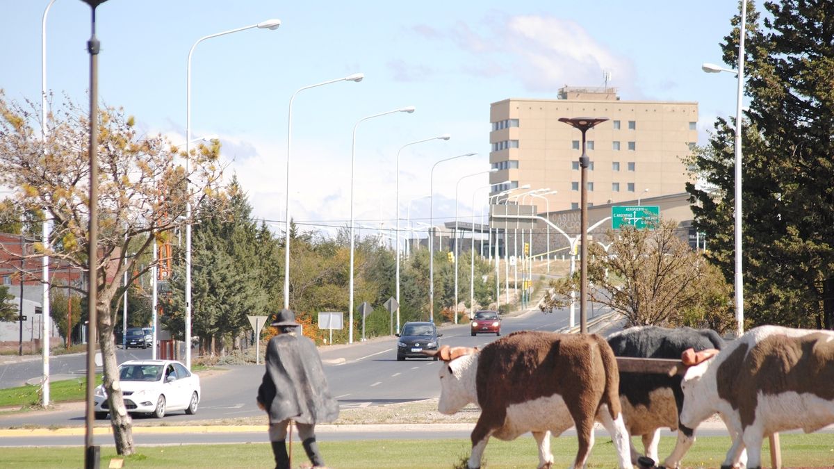 Zapala vuelve a estar como una opción fuerte para el turismo de paso