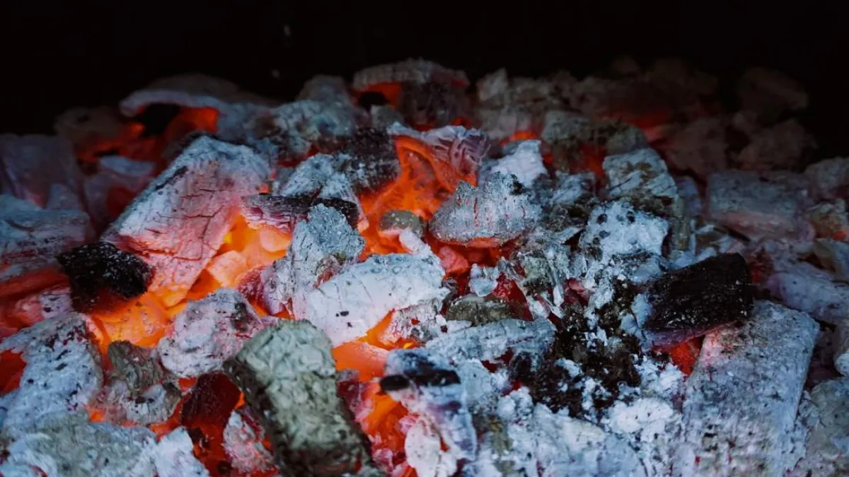 El truco de la sal sobre las brasas del asado: ¿Por qué se hace y de ...