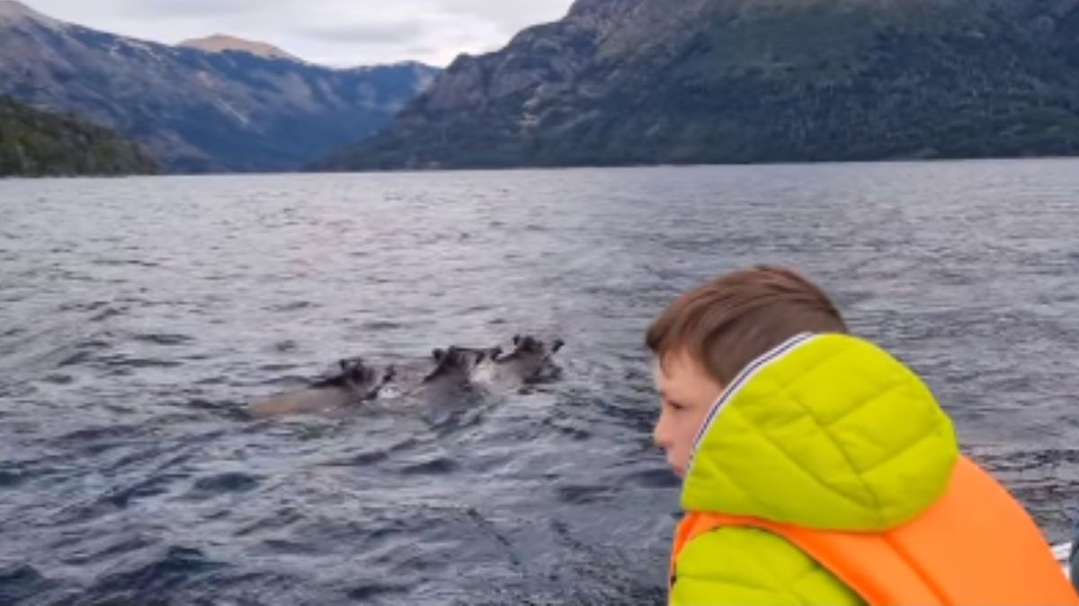 El Nahuel Huapi ya no es solo del Nahuelito