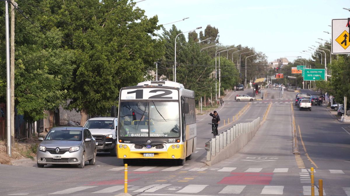¿Cuándo se pone en funcionamiento el nuevo sistema de colectivos?