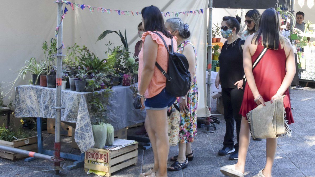 Fiesta de la Confluencia: 200 emprendedores neuquinos van a tener sus ...