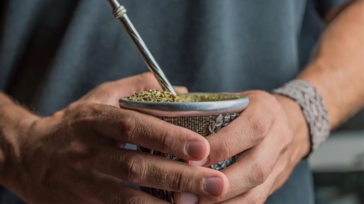 Día Nacional del Mate: ¿por qué se celebra este día y cuál es la ...