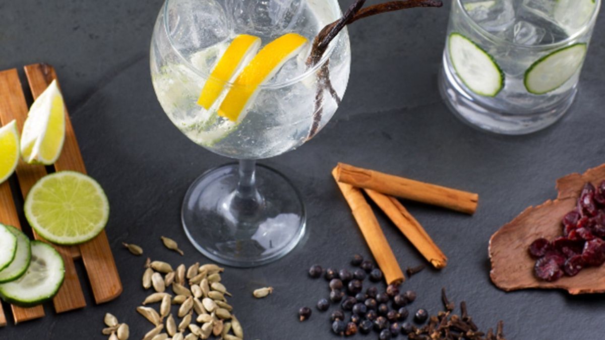 Cinco claves para identificar un gin de calidad excepcional