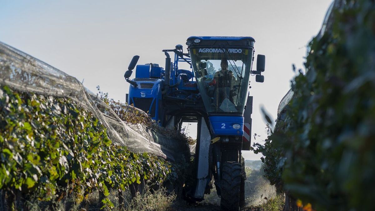 ¿Más producción = Menos productores...?