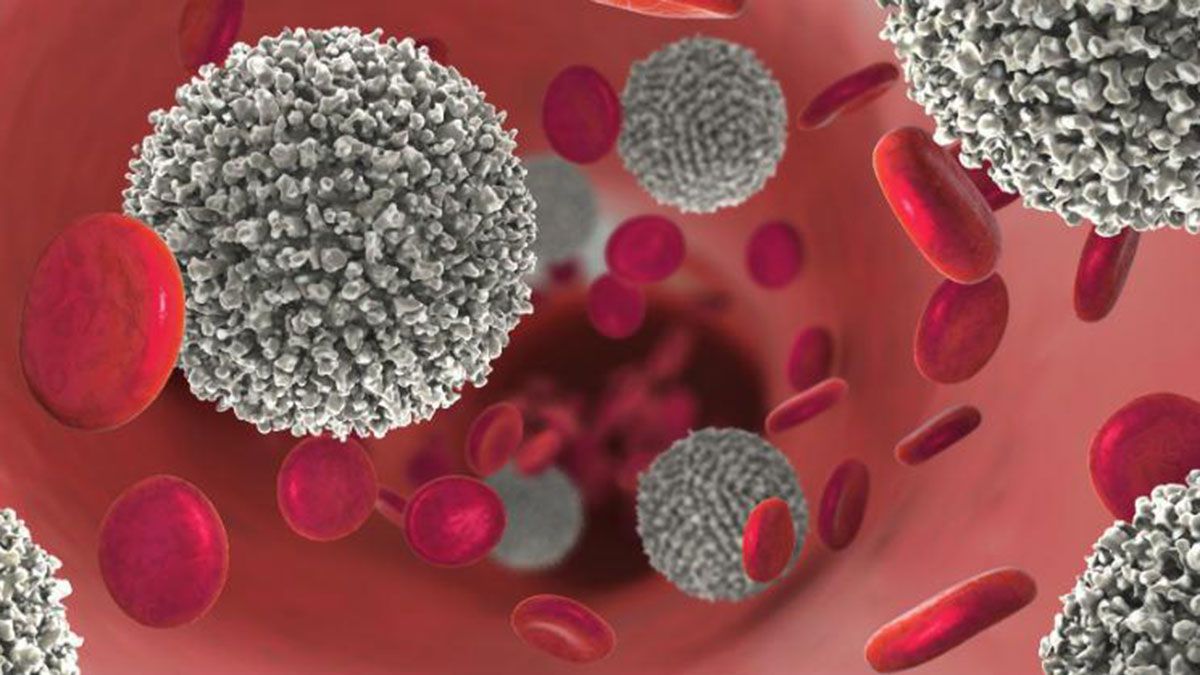 Día Mundial del Cáncer de la Sangre: la importancia de vacunarse