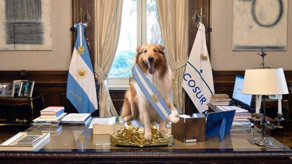 Los memes que le pusieron humor a la incertidumbre por las renuncias en ...